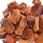 Cocolmeca - Plantas Medicinales